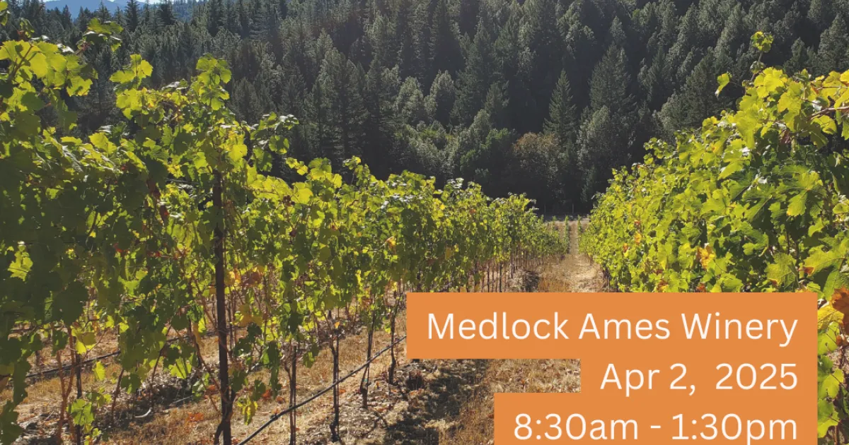 Cultivating Biodiversity- Soil Health- and Community in North Coast Vineyards (UC OAI Co ...